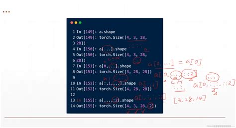 Pytorch入门tensor的维度 Csdn博客