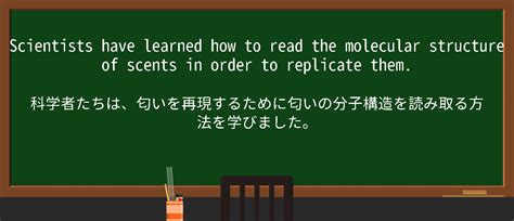 【英単語】molecular Structureを徹底解説！意味、使い方、例文、読み方 おもしろい英文法