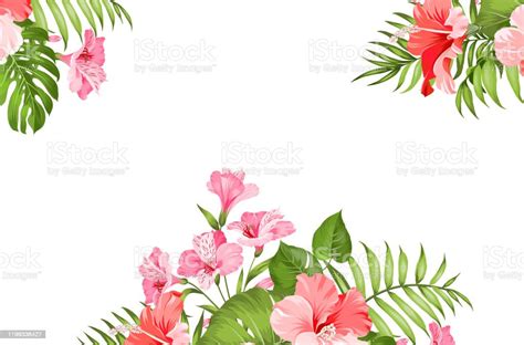 흰색 배경 위에 고립 된 열대 꽃 화환 향기로운 열대 꽃의 꽃다발입니다 알스트로에메리아의 컬러 플라워가 있는 초대장 카드 템플릿 0명에 대한 스톡 벡터 아트 및 기타 이미지