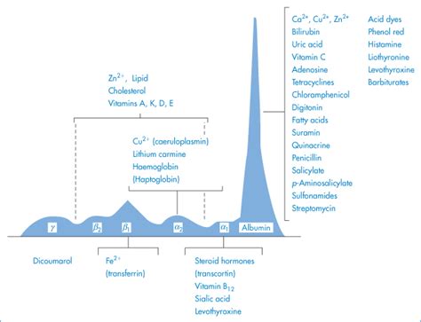 Physicochemical Interactions And Incompatibilities Basicmedical Key