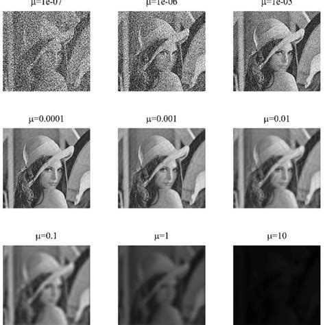 Effect Of The Regularization Parameter Download Scientific Diagram