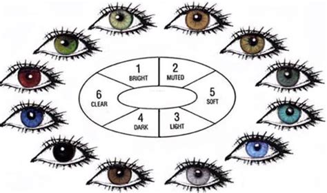 ტესტი რა ფერის იქნება თქვენი შვილის თვალები სასარგებლო რჩევები