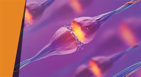 Чезнещи вкусове Дигитален урок Bg Електронно обучение и учене Mozaik