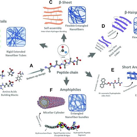 Pdf Self Assembling Peptides As An Emerging Platform For The