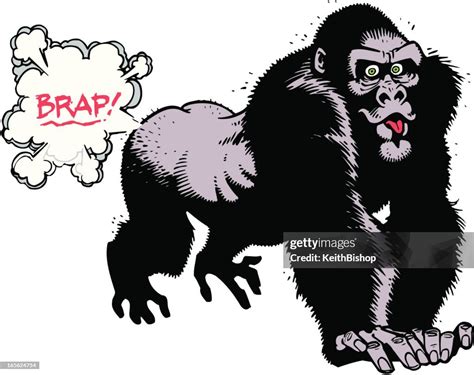 Gorillla Farting High Res Vector Graphic Getty Images