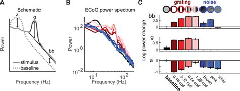 Decomposing Electrocorticographic Ecog Data Into Three Summary Download Scientific Diagram