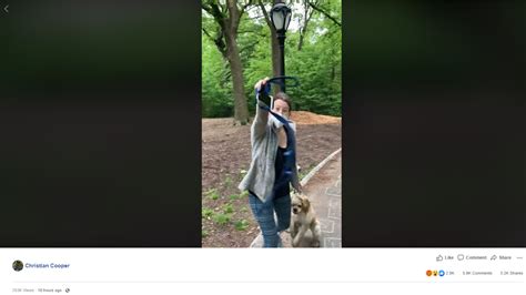 White Woman Fired After Calling Cops On Black Man In Central Park