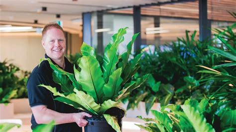 About Ambius Indoor Plants Ambius Au