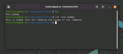 15 Essential Bash Commands For Everyday Use Foss Linux