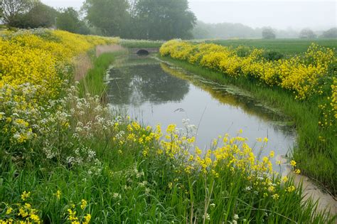Nutrient Mitigation Scheme Can Help Provide The Nature And Housing We Need Natural England