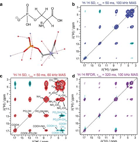 Negative Cross Peaks In Sd Based Spectra Based On A Coherent Sd Download Scientific Diagram