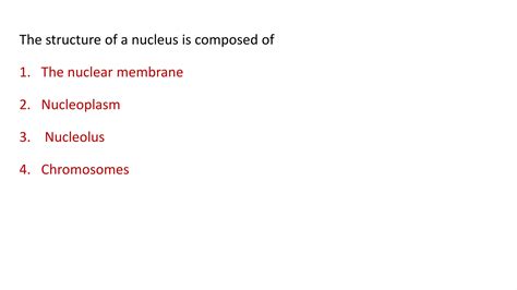 Ultrastructure Of Nucleus And Functions Pptx