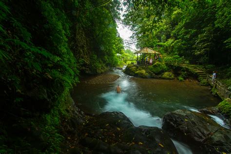 Gitgit Waterfall Bali Bliss Tours Gitgit Waterfall Bali Bliss Tours