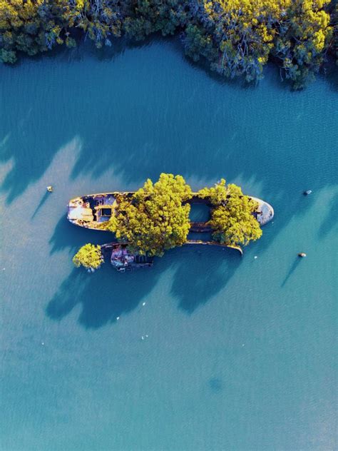 Algorithma On Linkedin Ai And Sustainability Driving Environmental Impact — Algorithma