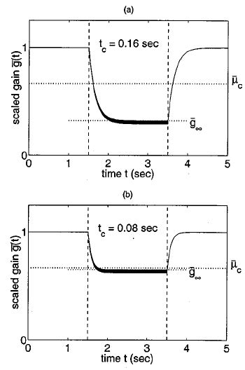 Periodic Stimulation Leads To Time Dependent Decrease Of Gain Of