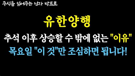 유한양행 주가전망 긴급분석 추석 이후 상승할 수 밖에 없는 이유 목요일 이 것만 조심하면 됩니다 Youtube