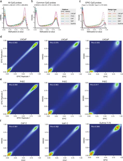 Critical Evaluation Of The Illumina Methylationepic Beadchip Microarray For Whole Genome Dna
