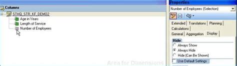 Structuring SAP BW Queries For Re Use