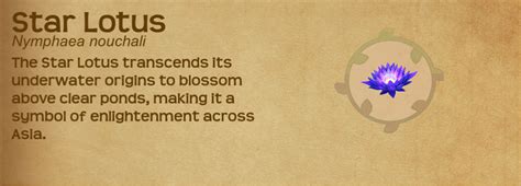 Star Lotus Flutter Starlight Wikia Fandom