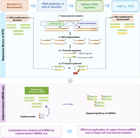 figure 1 from a high ecient capture based ngs approach for comprehensive analysis of