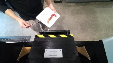 Initial Test Object Detection Dataset And Pre Trained Model By