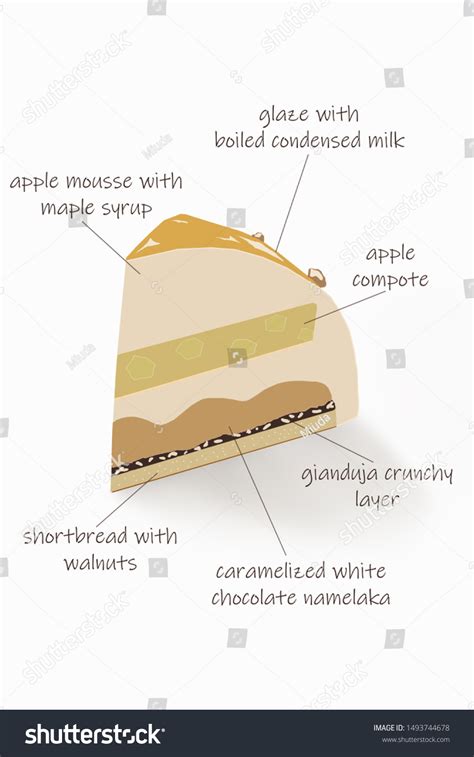 Detailed Schematic Diagram Cake Description Layers Stock Illustration Shutterstock