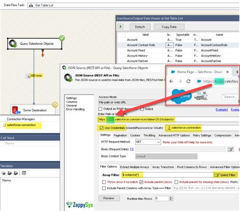 How To Read Salesforce Metadata In Ssis Using Rest Api Json Source Zappysys Blog