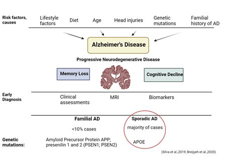Alzheimers Disease General Clinical Overview Biorender Science Templates