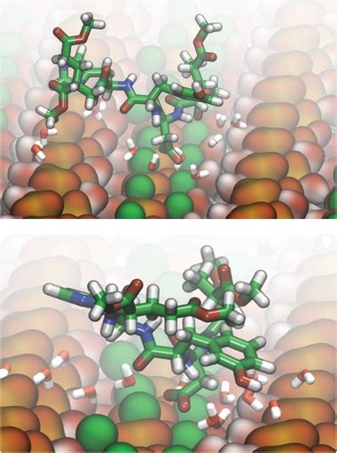 Snapshots Of A Metadynamics Trajectory Showing The Adsorption Of The
