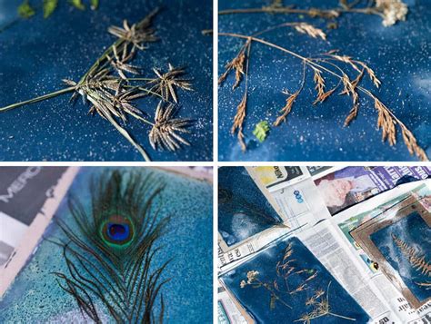 Creative Photography And The Cyanotype Process Isle Of Harris Artist Margaret Soraya