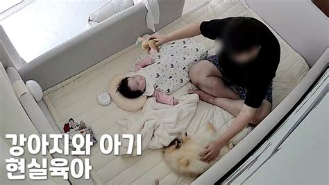 강아지와 아기를 함께 키우면 이렇게 됩니다 Youtube