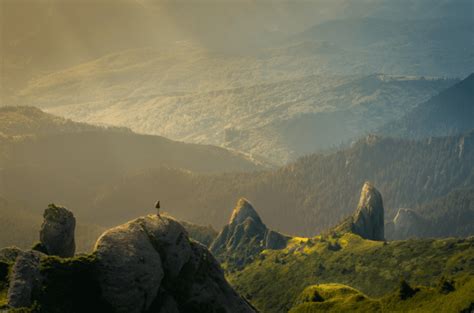 How To Flip The Canvas In Krita Imagy