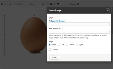 Prepopulate Image Properties When Editing An Embedded Image 3024340