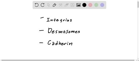 Solved A Large Diversity Of Secretion Systems Are Employed By Gram Negative Bacteria To Secrete