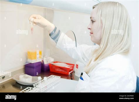 Sperm Bank Laboratory Worker Processing A Sperm Sample The Sperm Is Liquified Filtered And