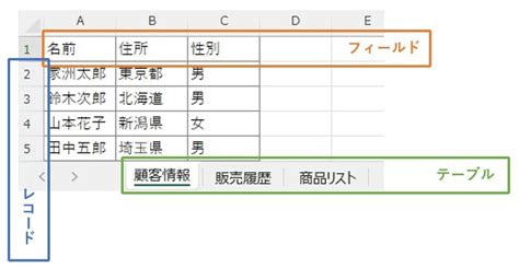 【filemaker Ver2024対応】ファイルメーカーの使い方を覚えたいあなたの為のブログー第二回「データを登録する機能」 Ywcのfilemaker（ファイルメーカー）情報