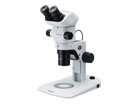 Microscopes De Dissection Olympus Ls