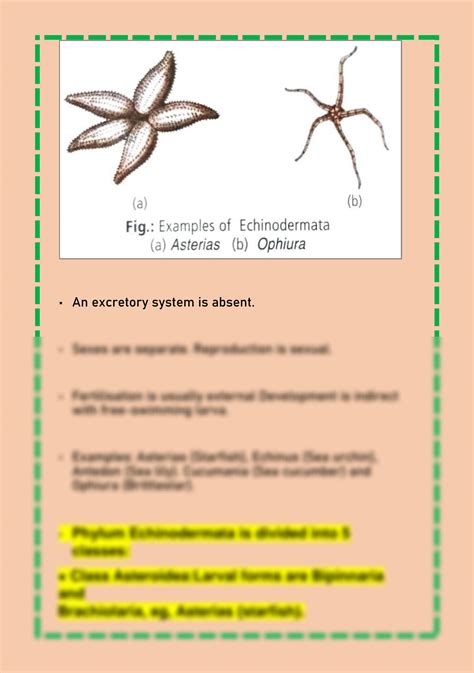 Solution Biology Animal Kingdomclassification Of Animal Phylum