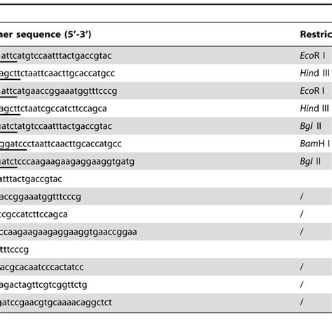 DNA Oligo Sequences Utilizes In This Report Download Table