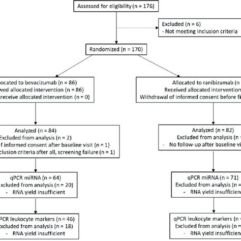 Flow Chart Summarizing The Clinical Design And Data Analysis Flow Download Scientific Diagram