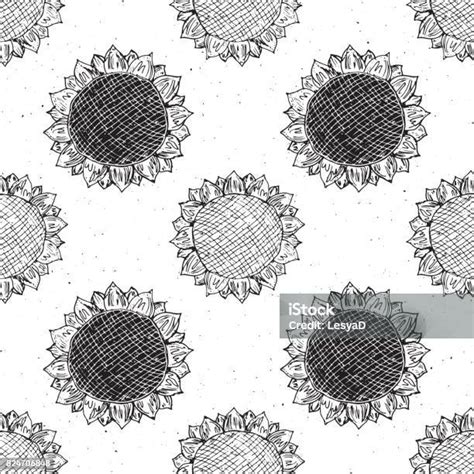 해바라기 원활한 패턴 손으로 그린된 스케치 배경 인쇄 술 디자인 벡터 일러스트 레이 션 0명에 대한 스톡 벡터 아트 및 기타 이미지 0명 가을 건강한 식생활 Istock