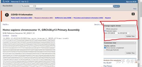 如何寻找基因的启动子NCBI版 知乎