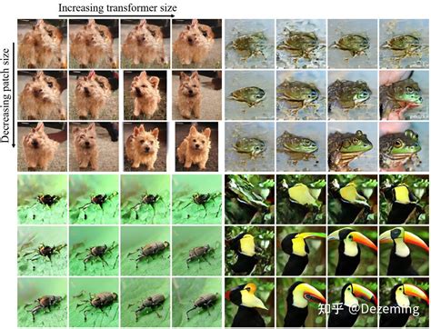 深入浅出【diffusion Model】之dit—diffusion Transformer 知乎