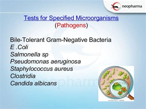 Microbial Limit Test An Over View