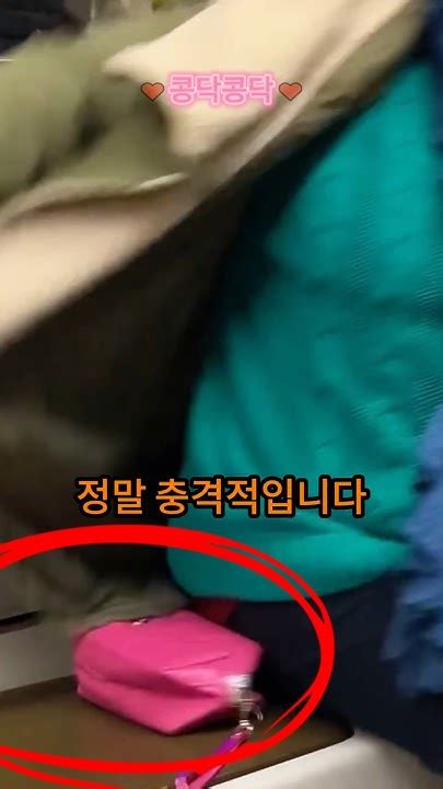 지하철에서 가방을 훔치려던 여성의 충격적인 최후 Youtube