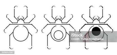 딱정벌레 독거미 위험한 곤충의 양식화된 이미지 그래픽 디자인 요소 라인 아트 곤충 흑인과 백인 벡터 그림입니다 갈고리 발톱에 대한 스톡 벡터 아트 및 기타 이미지 Istock