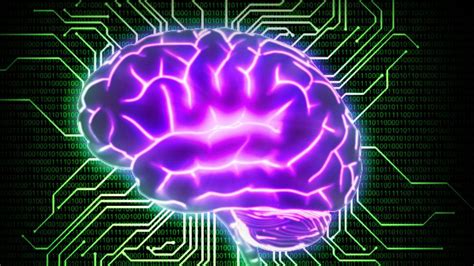 Elon Musk Expects Neuralink To Test Brain Chip Implants In Human