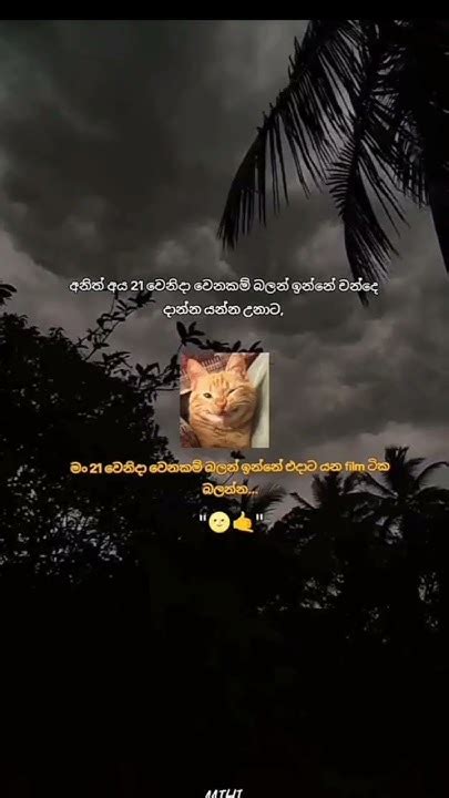 Viralvideo🤙 Srilanka 😎 Trending 🙈🧚‍♂එදාට යන ෆිල්ම් වල නම් 💖කියාගෙන කමෙන්ට් කරන් යමු නේ😎 Youtube