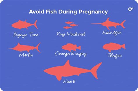 Should You Eat Seafood During Pregnancy