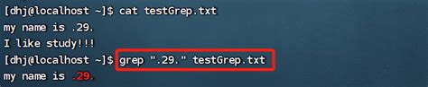 Linux基础命令大全实用快捷键 掌握linux使用一文足矣 阿里云开发者社区
